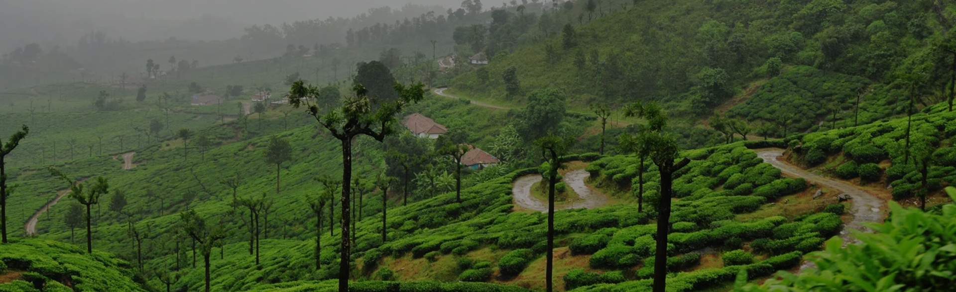 Kalasa | Stay Amidst Hills & Coffee Plantations Best Hotels in Kalasa ...